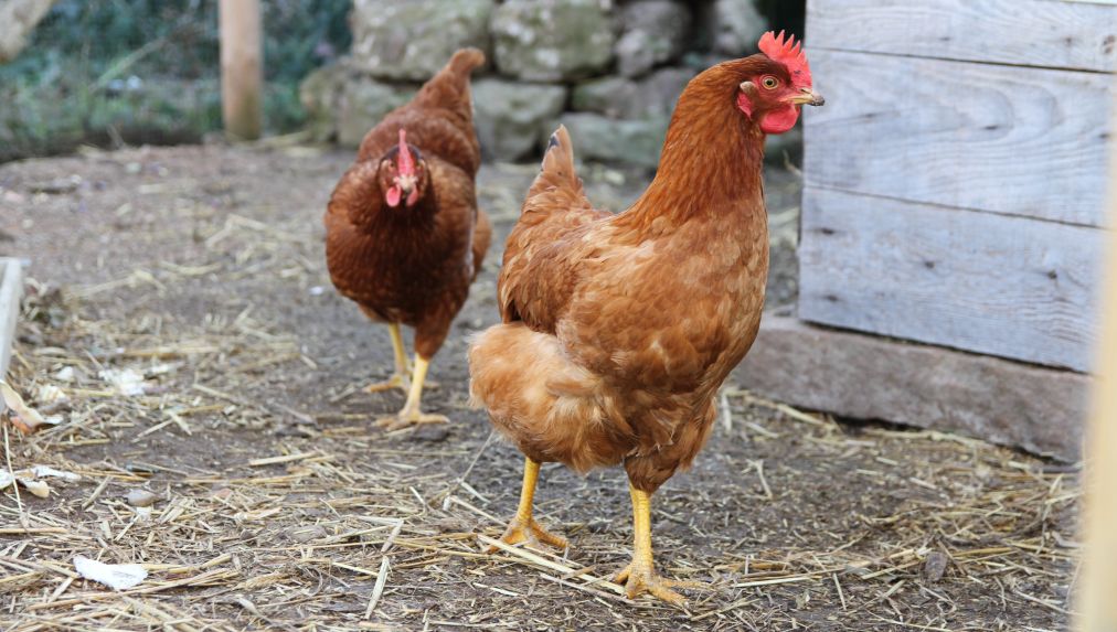 Colmar Agglomération | Colmar Agglomération